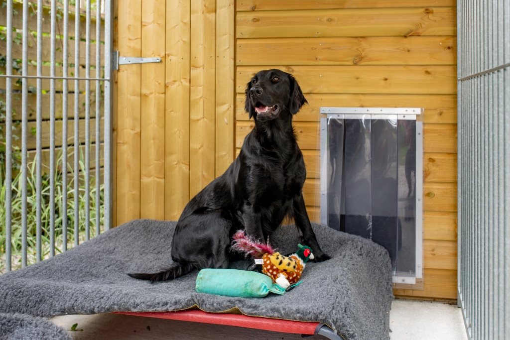 Dog-friendly holiday cottage for 2 in Callington, Cornwall with hot tub