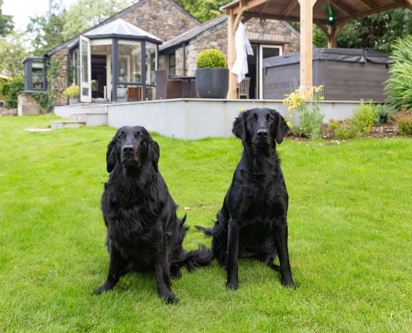 Luxury holiday cottage - dog friendly cottage for 2 with hot tub in ...